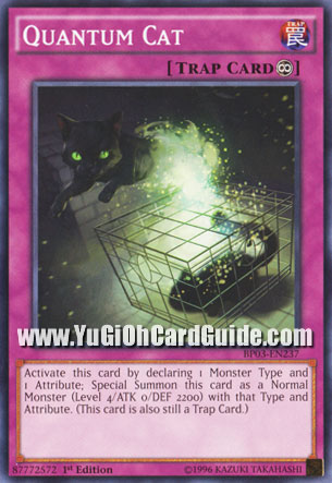Yu-Gi-Oh! Quantum Cat