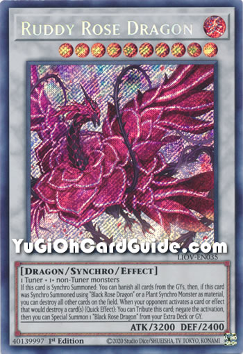 Yu-Gi-Oh! Ruddy Rose Dragon